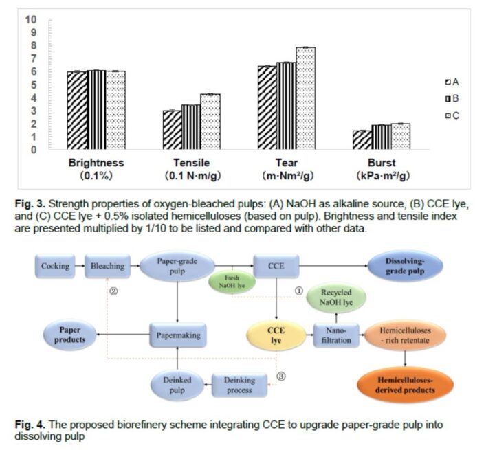 Value-added utilization of caustic soda lye from cold caustic ...