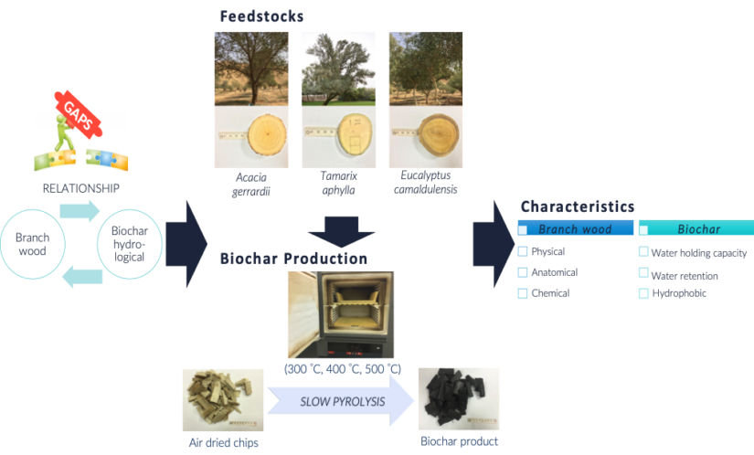 Biochar hydrological characteristics in related to branch wood ...