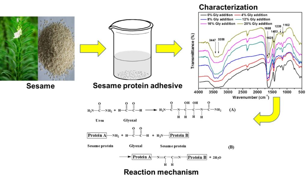 Performance of a formaldehyde-free sesame protein adhesive modified by ...