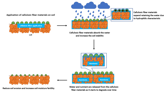 Application of cellulosic fiber in soil erosion mitigation: Prospect ...