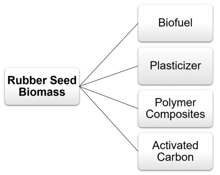 Multifunctional rubber seed biomass usage in polymer technology and ...