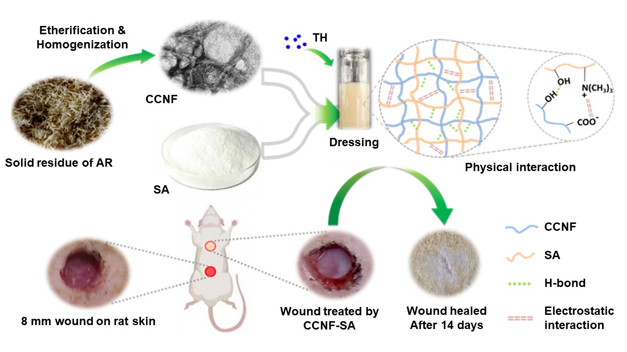 A handy skin wound dressing prepared by alginate and cationic ...
