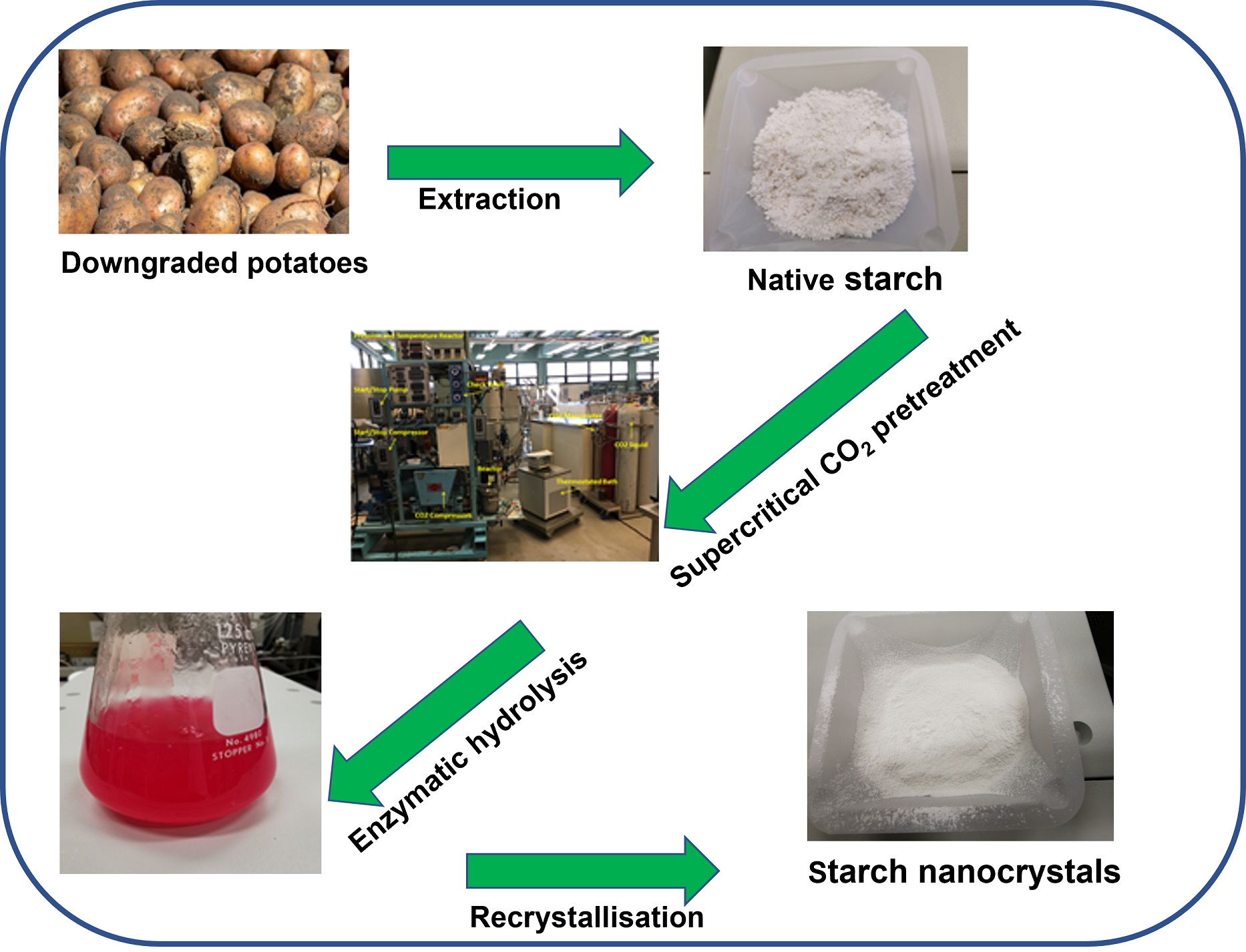 Potato starch nanocrystal preparation via supercritical carbon dioxide ...