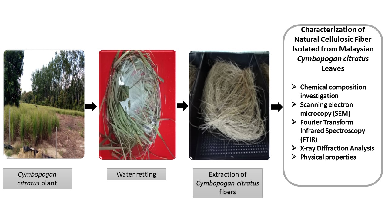 Characterization of natural cellulosic fiber isolated from Malaysian ...