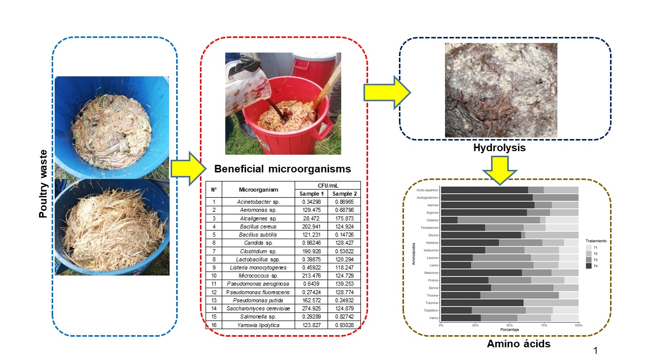 Volume 17 Issue 1 :: Article Issues :: BioResources