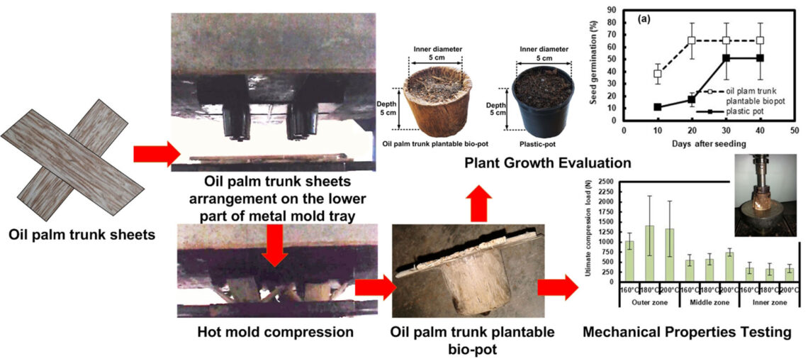The fabrication and performance of plantable bio-pots from thick sheets ...