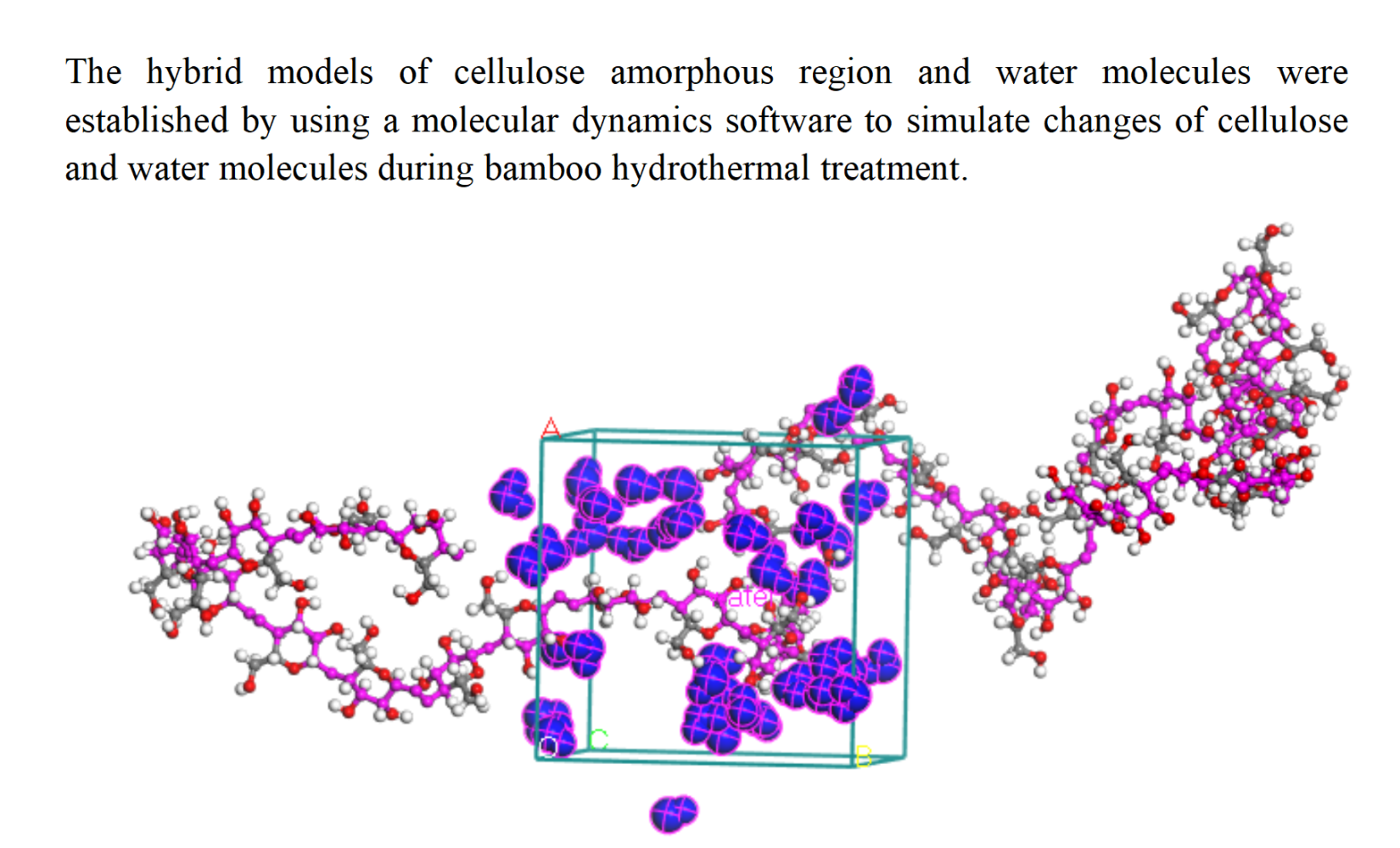 Effect of water molecules at different temperatures on properties of cellulose based on ...