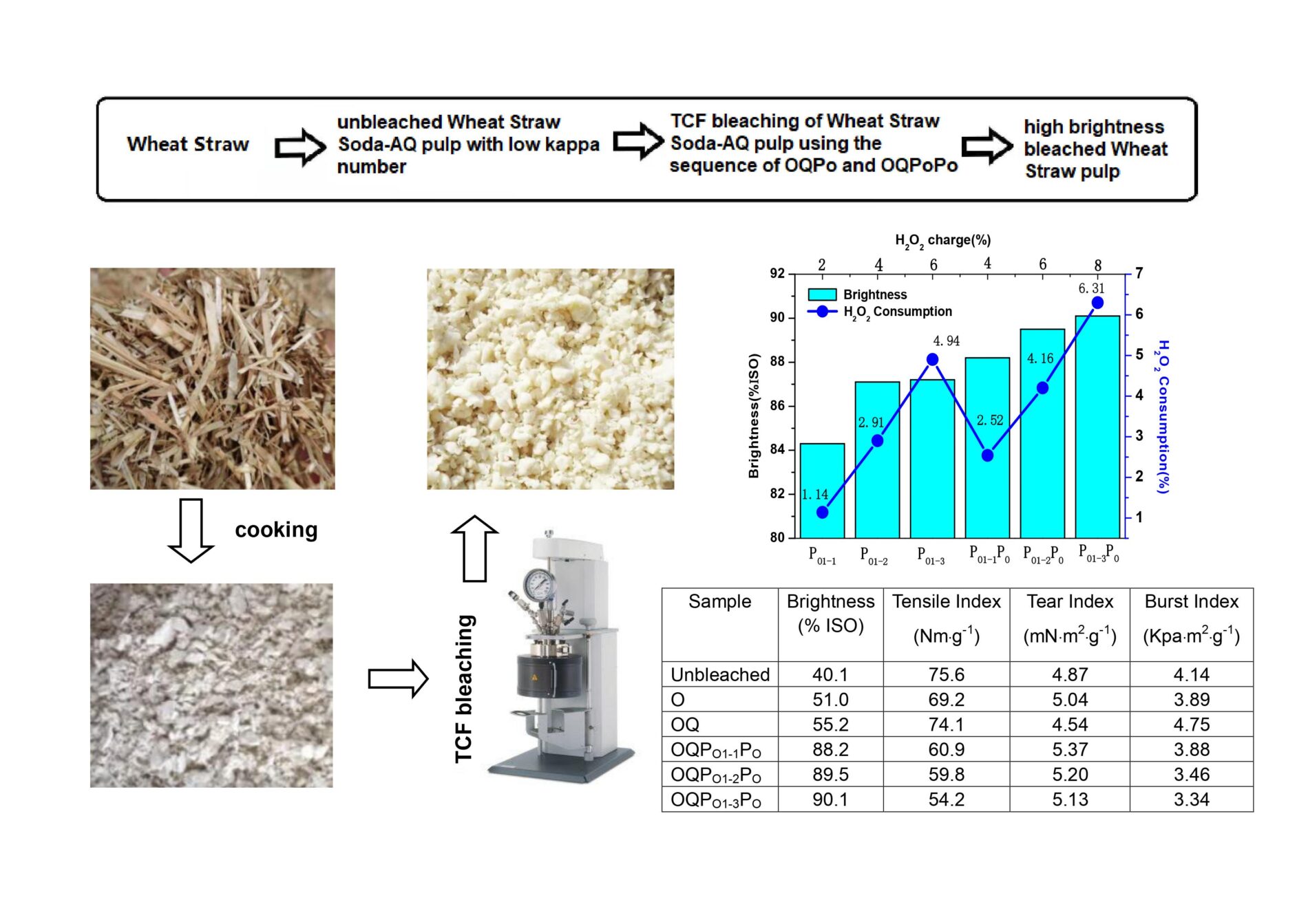 Totally chlorine free (TCF) bleaching of wheat straw soda-anthraquinone (AQ) pulp with a low ...