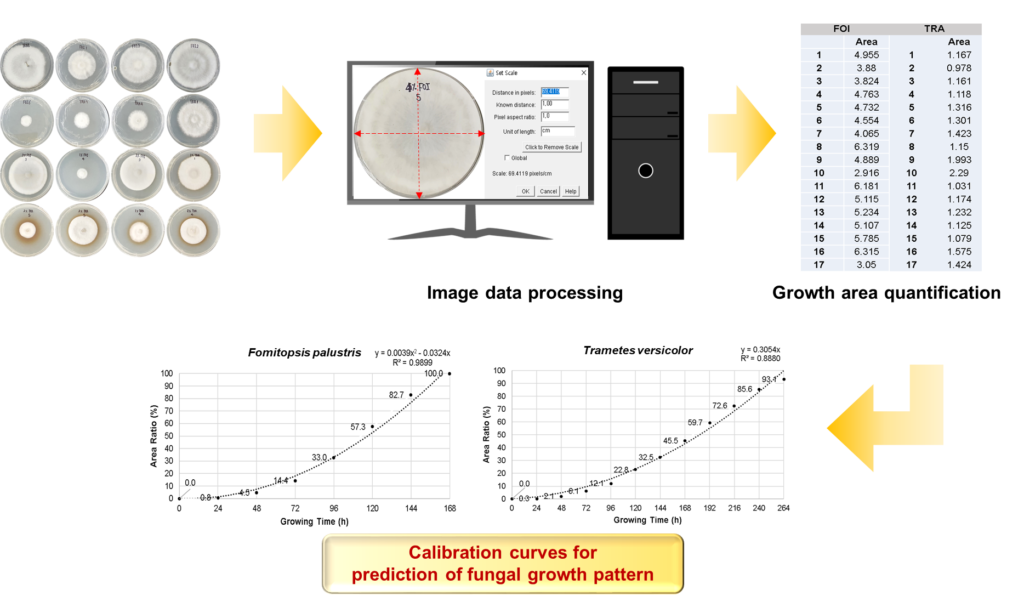 Quantification of microbial growth pattern on growth medium using image ...