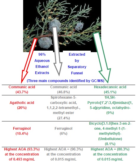 Volume 18 Issue 1 :: Article Issues :: BioResources