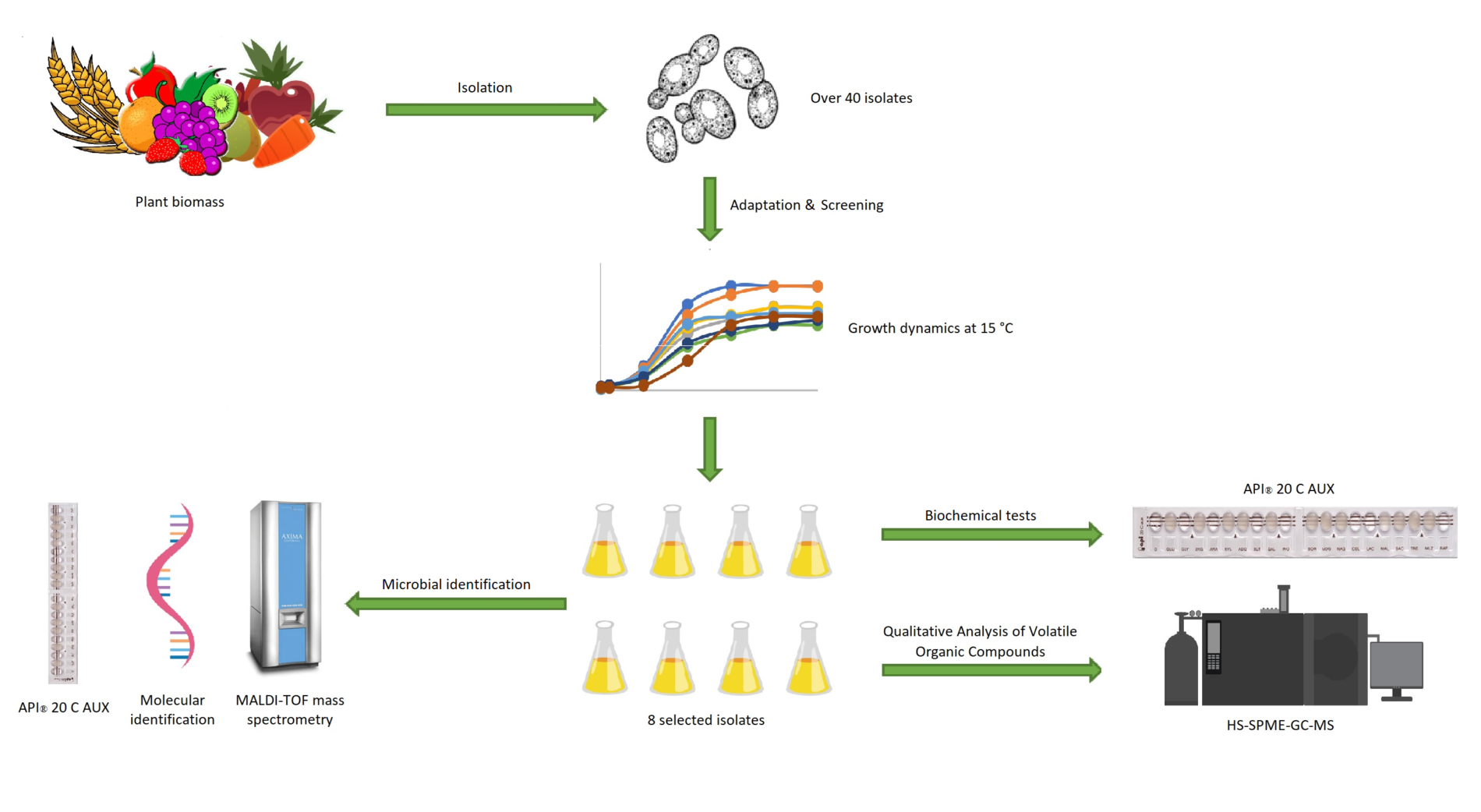 Volume 18 Issue 1 :: Article Issues :: BioResources