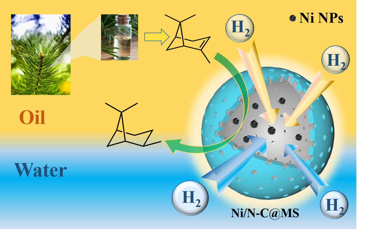 Aqueous-phase hydrogenation of α-pinene to cis-pinane using an ...