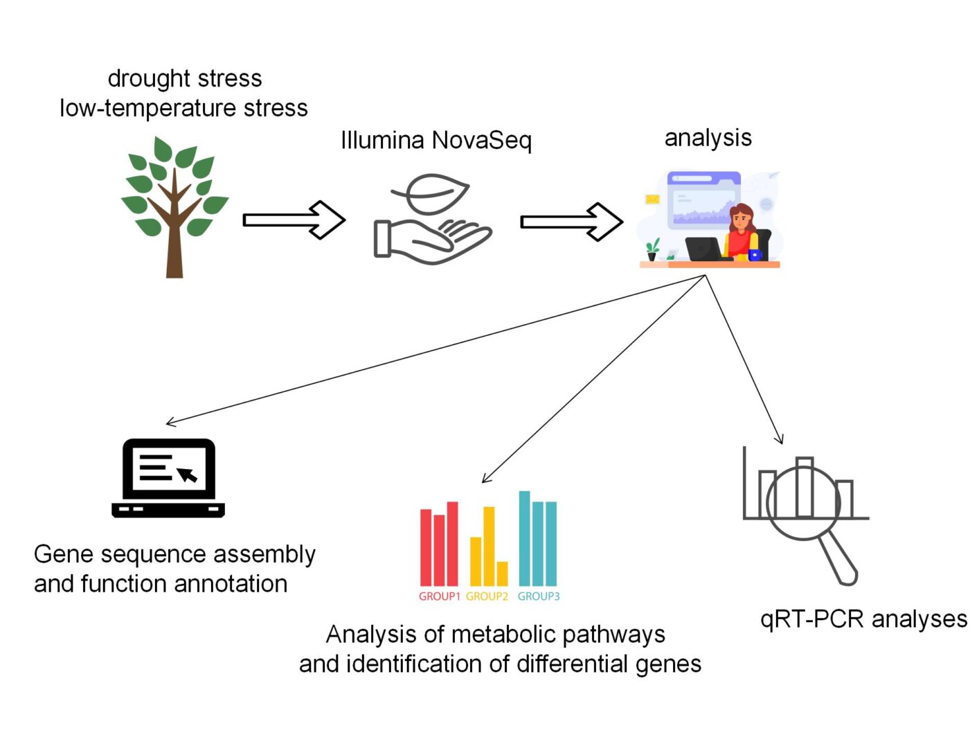 Volume 18 Issue 2 :: Article Issues :: BioResources