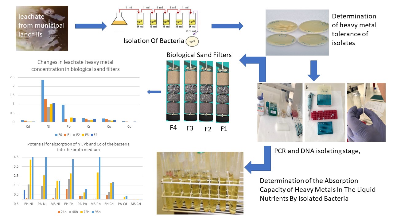 Removal efficacy of toxic metals in leachate through micro-organisms ...