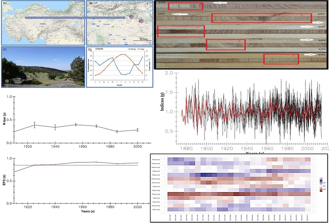Volume 18 Issue 3 :: Article Issues :: BioResources