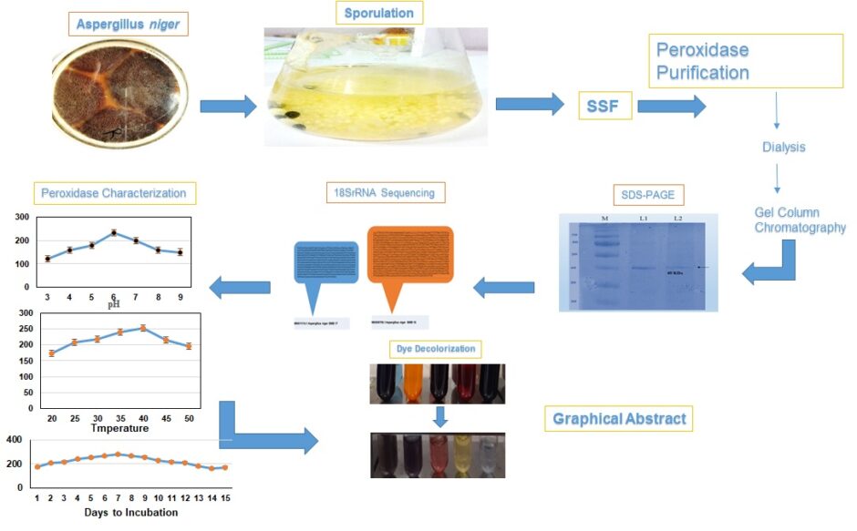 Volume 18 Issue 3 :: Article Issues :: BioResources