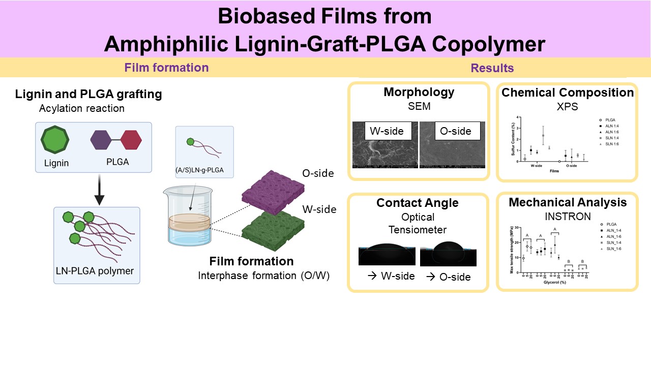 Biobased films from amphiphilic lignin-graft-PLGA copolymer :: BioResources