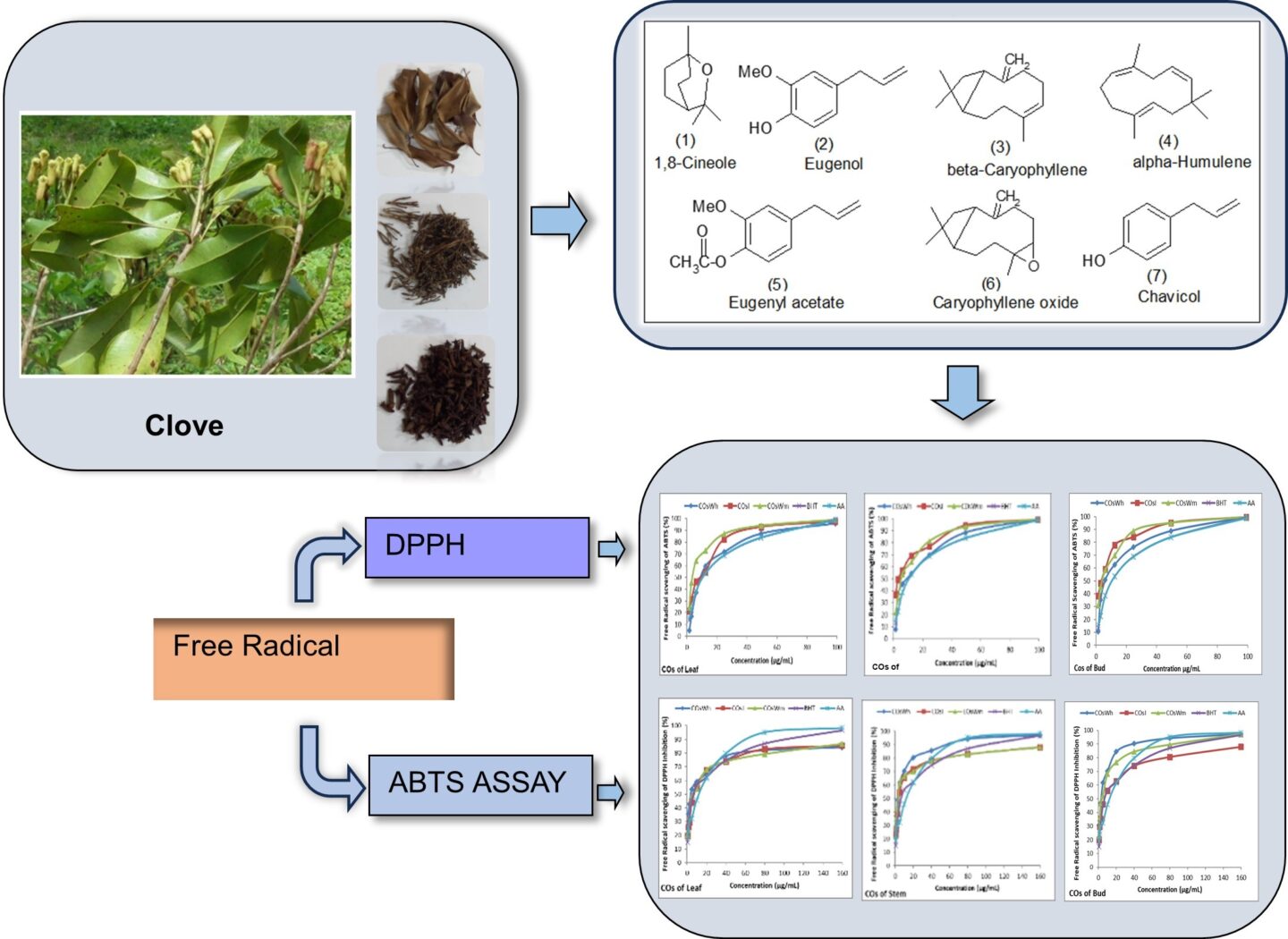 Volume 18 Issue 4 :: Article Issues :: BioResources