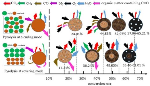 Combustion and flue gas evolution characteristics of rice husk in ...