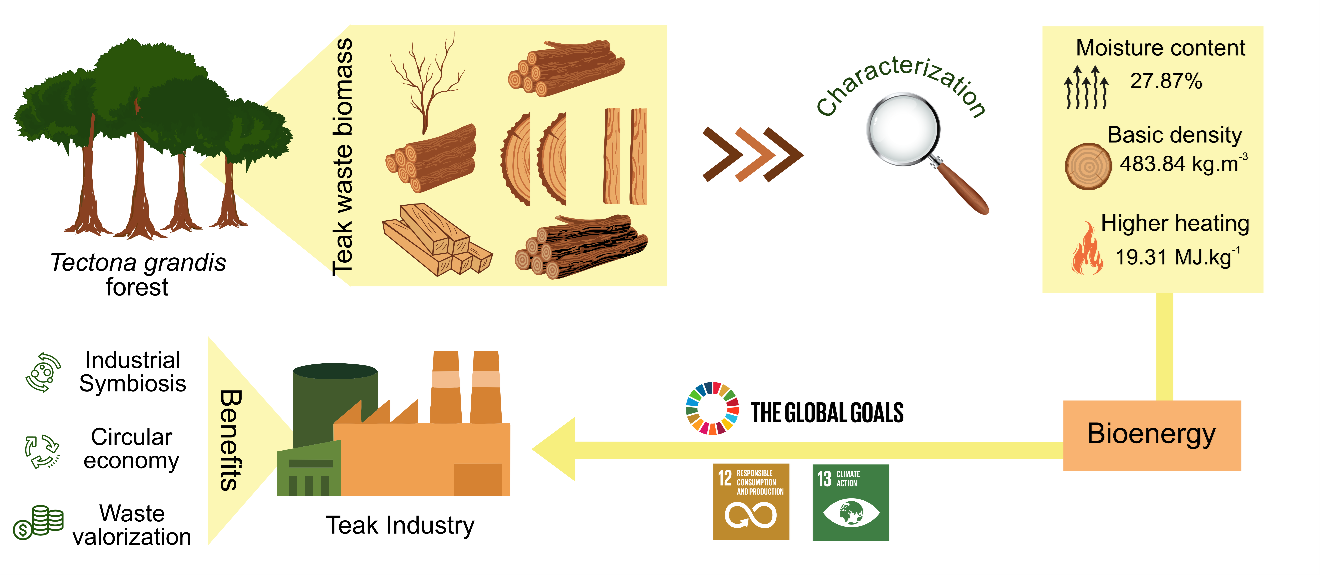 Volume 19 Issue 2 :: Article Issues :: BioResources