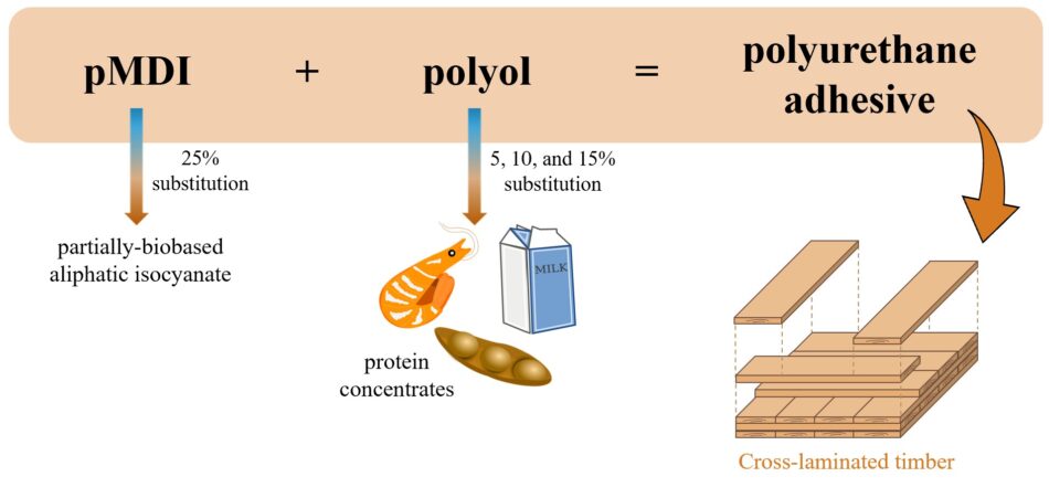 Industrial byproducts as adhesive allies: Unraveling the role of ...
