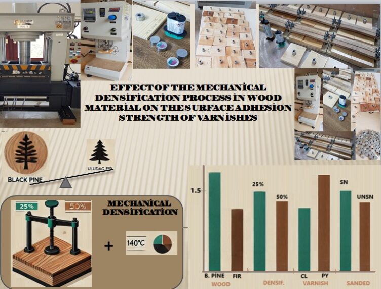 Effect of the mechanical densification process in wood material on the ...